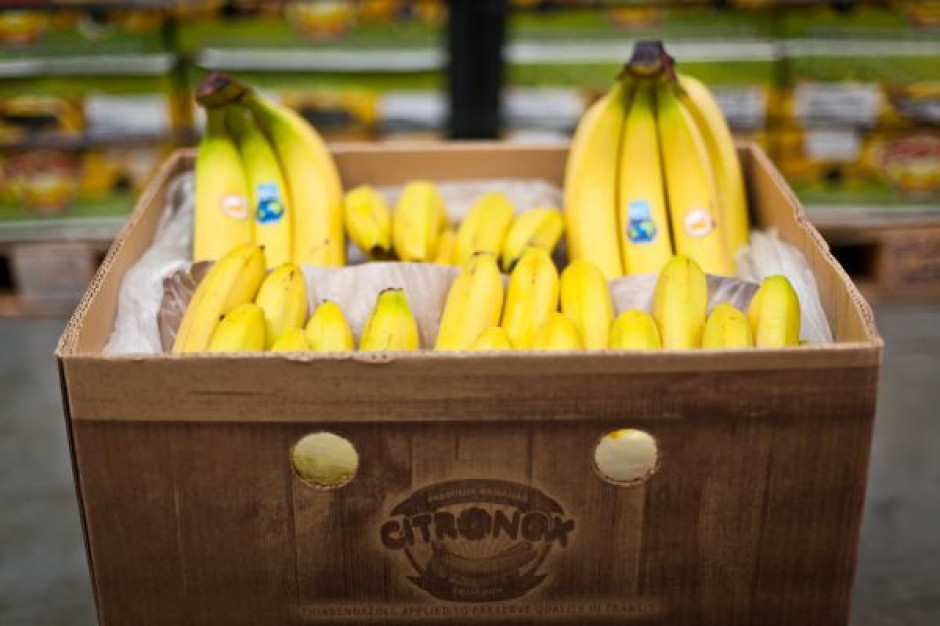 Citronex inwestuje w przetwórstwo bananów