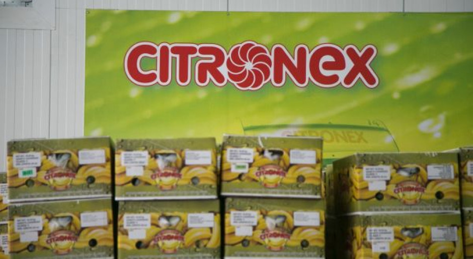 Citronex wyda 50 mln USD w tym roku na afrykańskie banany?