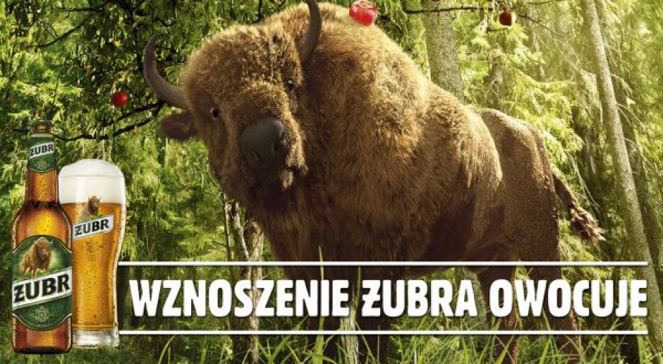 Jesienna odsłona i nowa kampania marki piwa Żubr