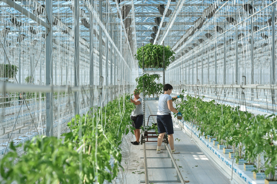 Citronex o wyzwaniach dla sektora owoców i branży paliwowej (wywiad)