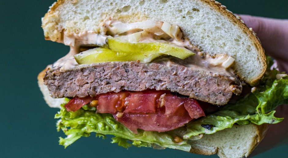 Hempeat: Zamiennik mięsa na bazie białka z ziaren konopi chce podbić rynek