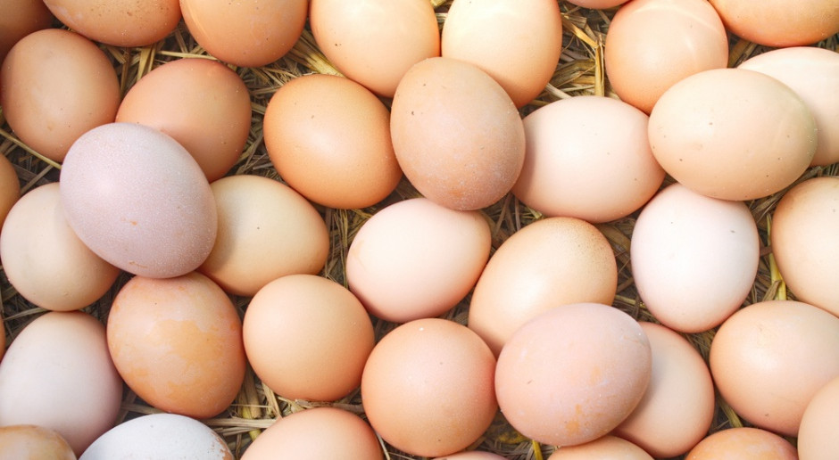 Ceny jaj szokują klientów. U producentów podrożały nawet o 70–90 proc.