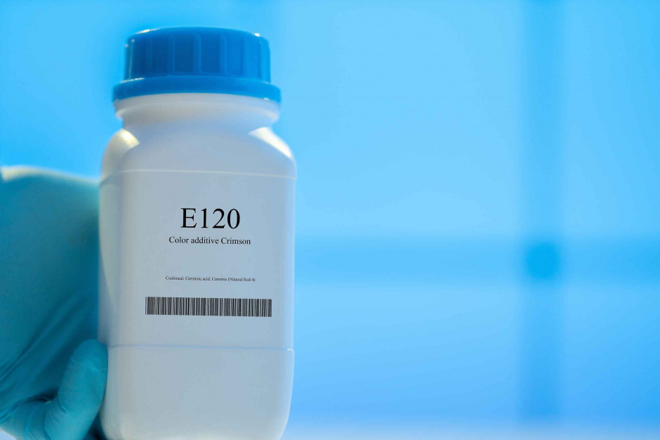 E120, czyli koszenila. Z jakich owadów powstaje?