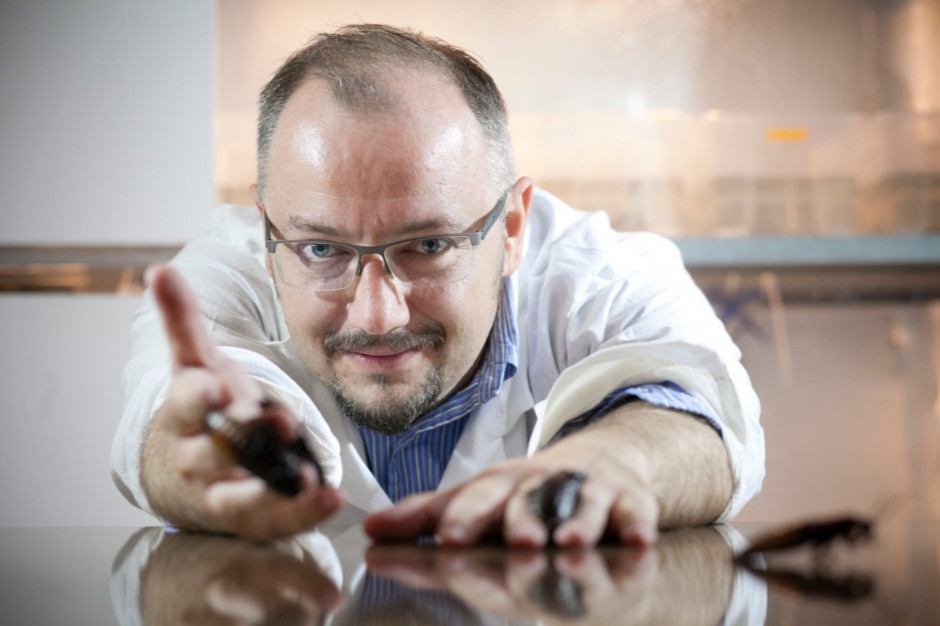 Prof. Damian Józefiak, HiProMine: Wykorzystanie białka owadziego w ...