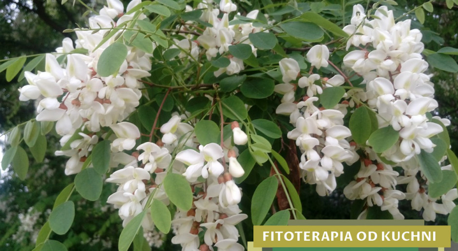 Sezon na kwiaty akacjowe. Co można z nich zrobić?