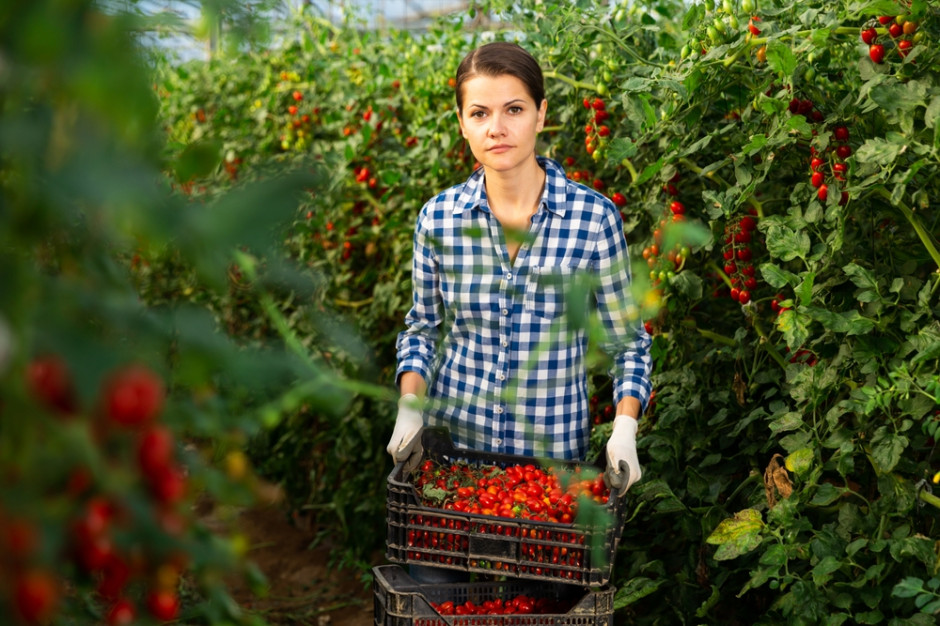 Produkcja rolna w Polsce rośnie szybciej niż w UE. Wyprzedza nas tylko ...