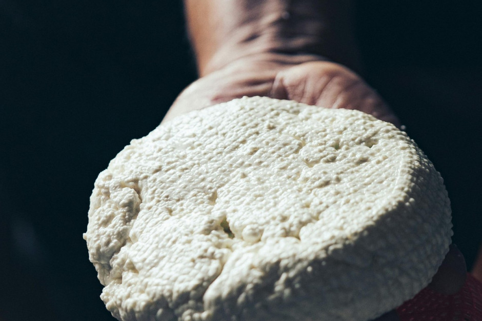 Ile gatunków sera produkuje się w Polsce? Ten segment rośnie w siłę