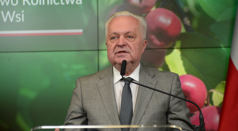 Wiceminister: Polska wolna od ptasiej grypy, ale walczy z ASF