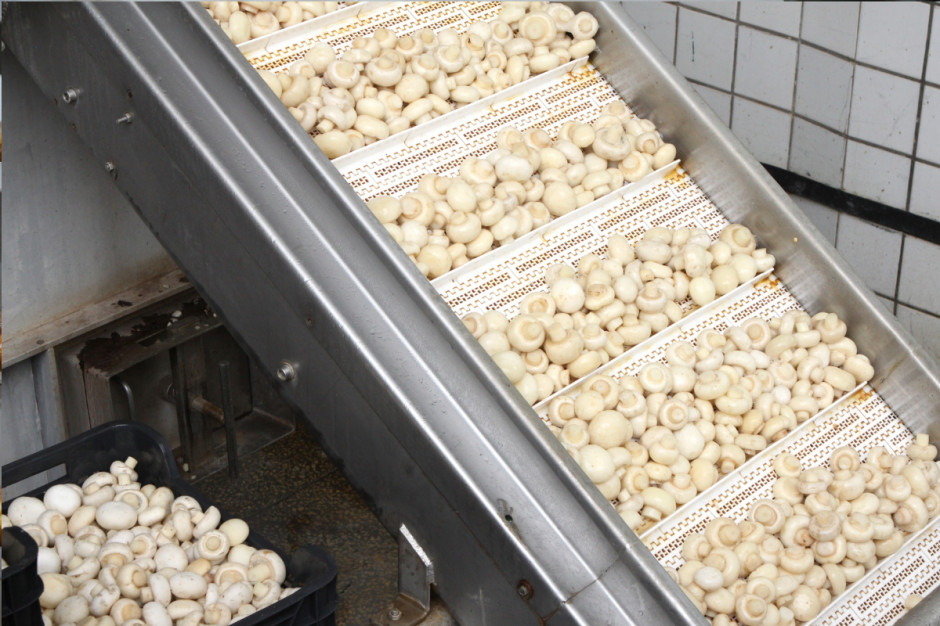 Spółka z Grupy Okechamp sięga po specyficzną formę finansowania ...