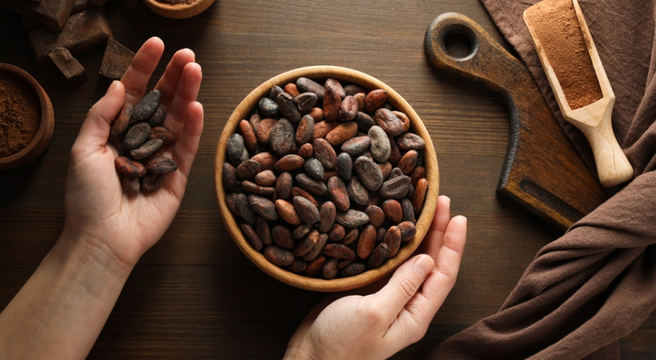 Ceny czekolady rosną. Branża stawia na zamienniki