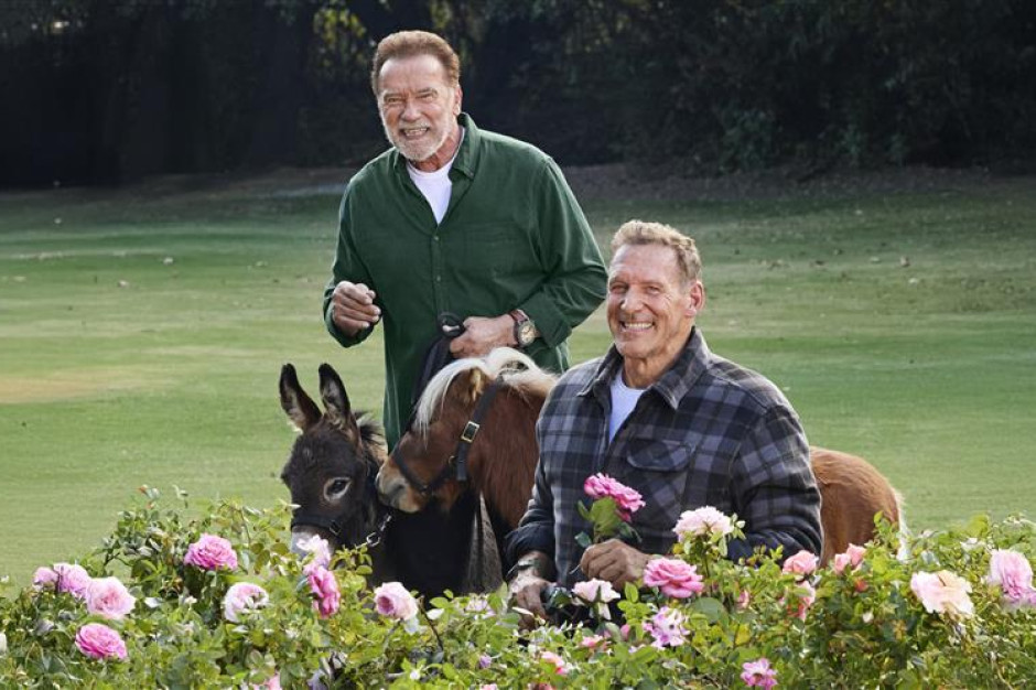 Arnold Schwarzenegger twarzą kampanii Lidla i Kauflandu. Co reklamuje?