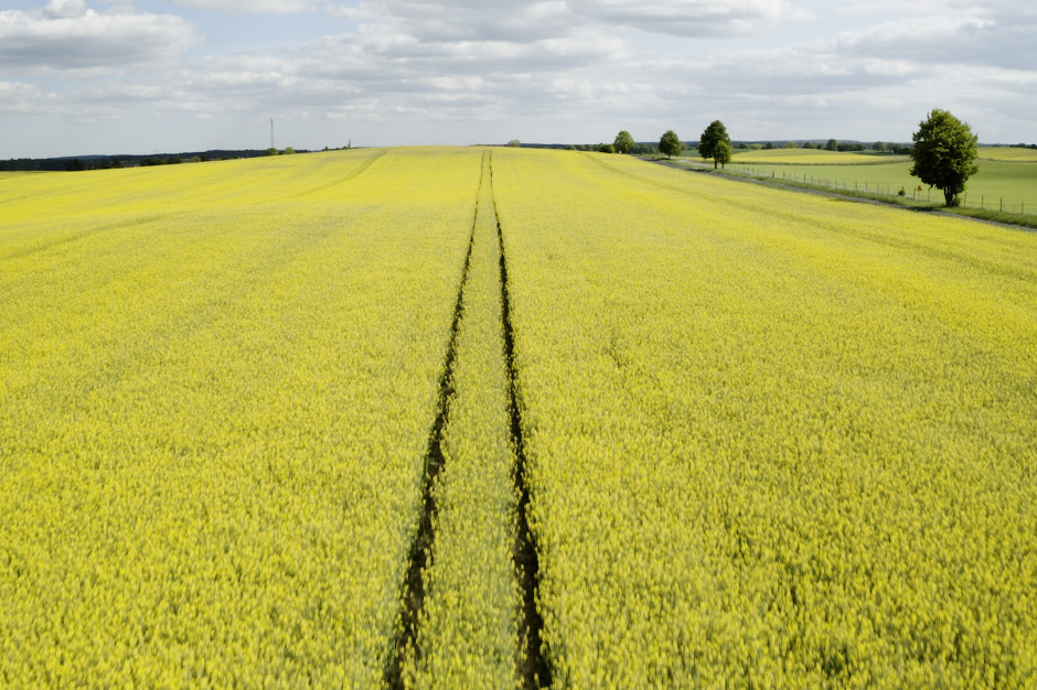 Nowe partnerstwo PepsiCo, Mars i ADM wspiera zrównoważone rolnictwo w Polsce