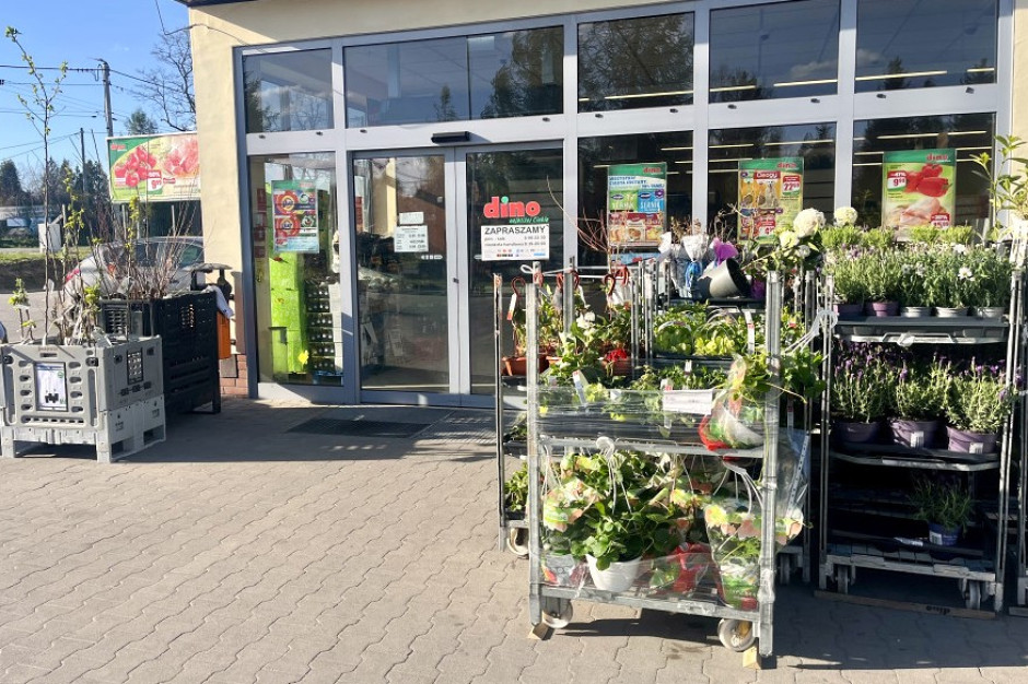 Dino testowało click & collect dla roślin. Przyszłość projektu ...